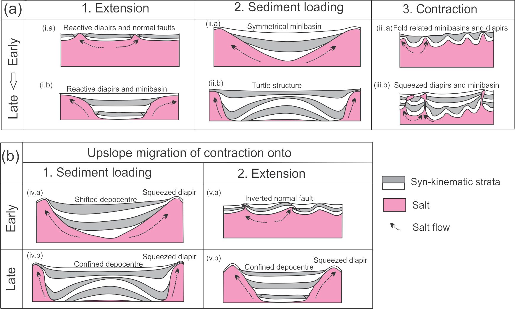 Spatial And Temporal Variations In Minibasin Geometry And Evolution In