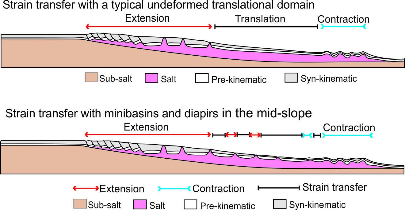 Overprinting translational domains in passive margin salt basins ...